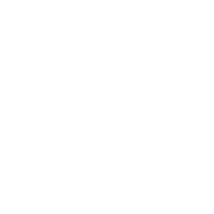 Effet Barnum - Définition, fonctionnement et facteurs explicatifs